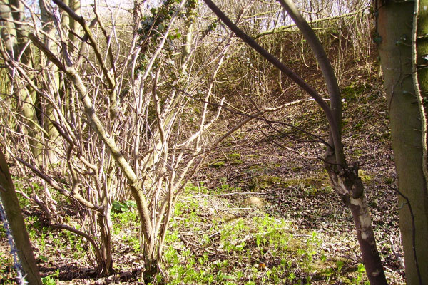 Ashmolean Museum: Oxfordshire's Historic Archives - Grim's Ditch